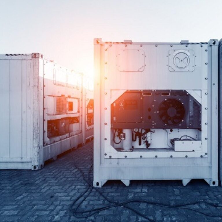 Reefer Cargo Services | Cargo Shipping | Messiah Freight